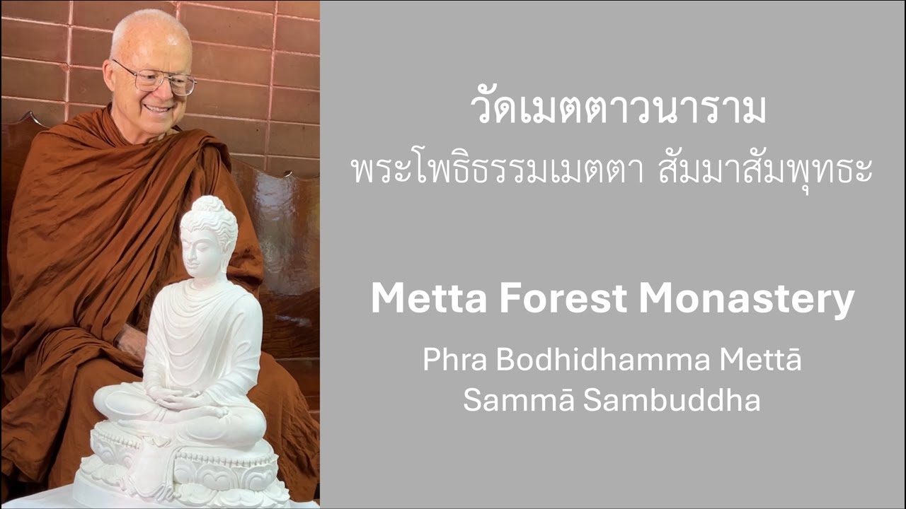 Wat Metta/Metta Monastery: Phra BhodiDhammaMetta SammaSambhuda/พระโพธิธรรมเมตตา สัมมาสัมพุทธะ ...