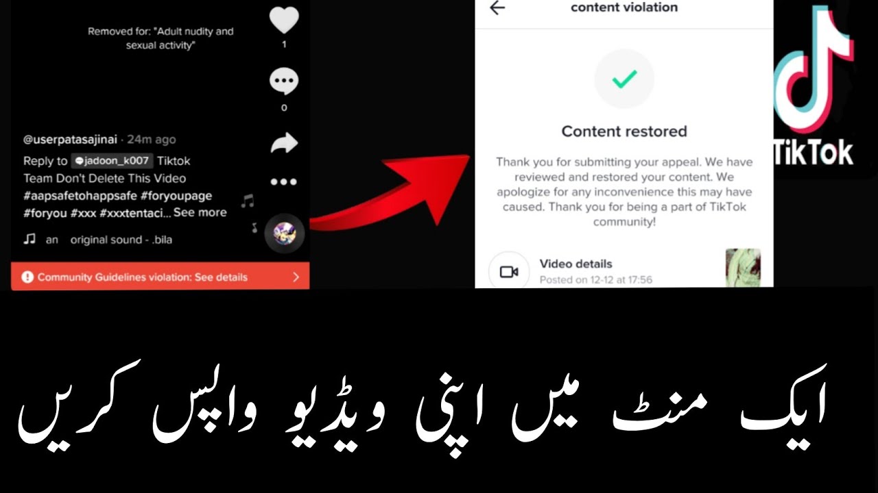 Due To Multiple Community Guidelines Tiktok Video Removed Tiktok due-to-multiple-community-guidelines-tiktok-video-removed-tiktok