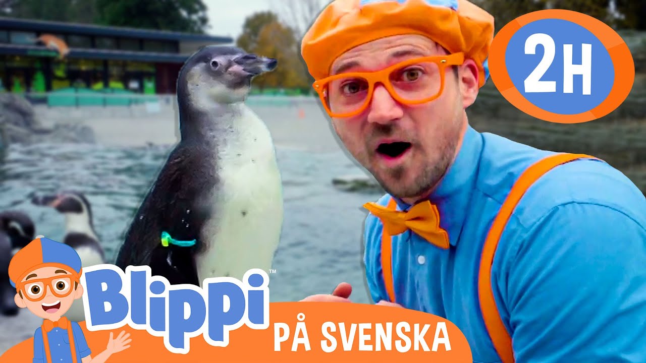 Blippi går på zoo - lär sig om fantastiska djur | @BlippiSvenska ...