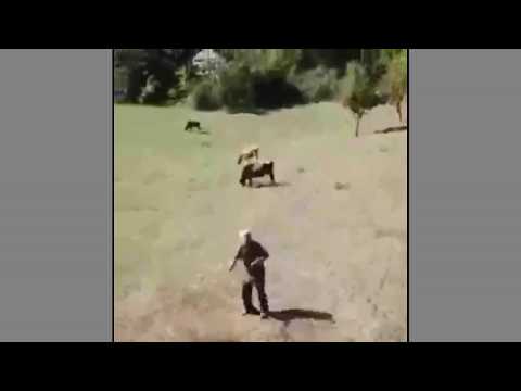 HAYATINDA İLK KEZ DRONE GÖREN ADAMIN İLGİNÇ TEPKİSİ :)