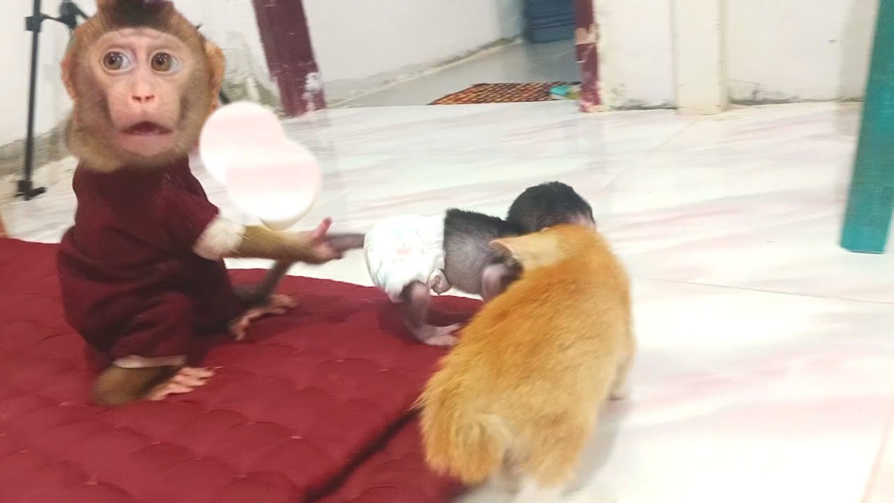 Libi super funny.. - YouTube