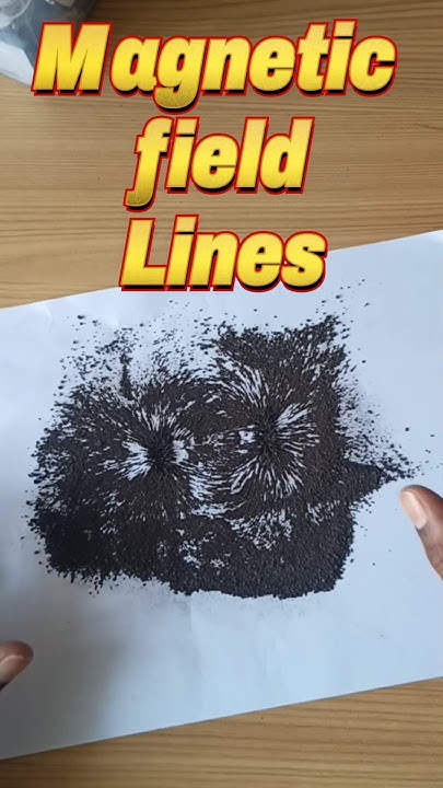 🧲Visualizing Magnetic Fields: Simple Experiment!"🧲🧲🔎 - YouTube