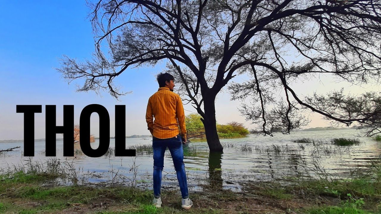 Thol bird sanctuary | Thol lake | Thol in gujarat - YouTube
