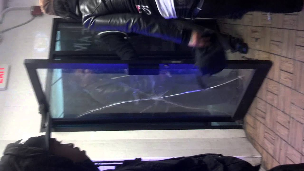 Dont take money from your pimp - YouTube
