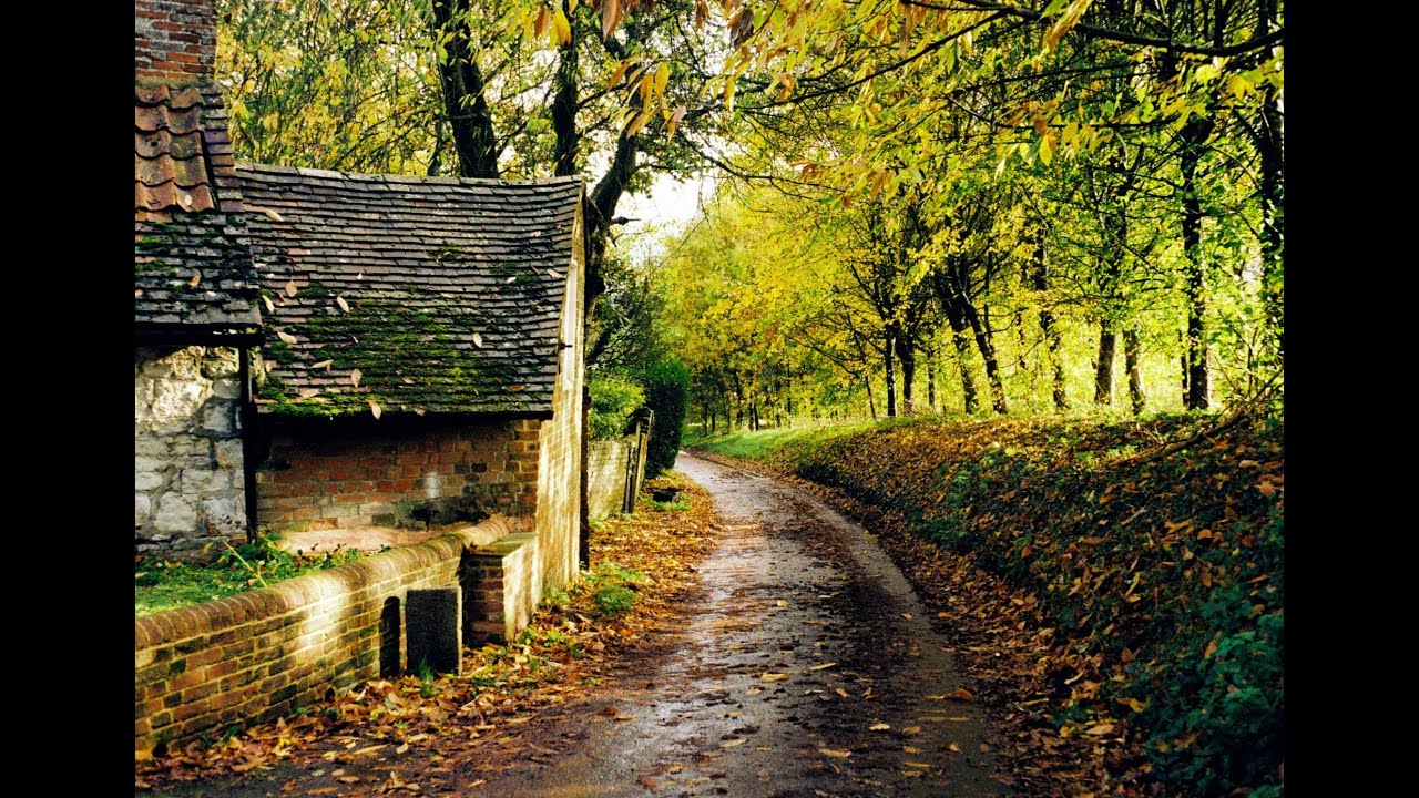 Dorset Lane. Tony Burke Watercolours. - YouTube
