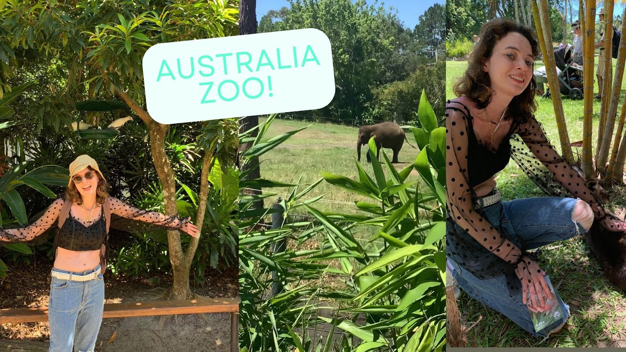 AUSTRALIA ZOO day out.... - YouTube