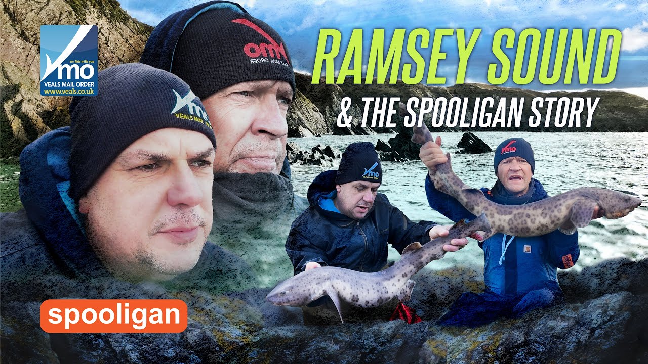 Spooligan | Sea Fishing South West Wales | Catching Bull Huss & The ...