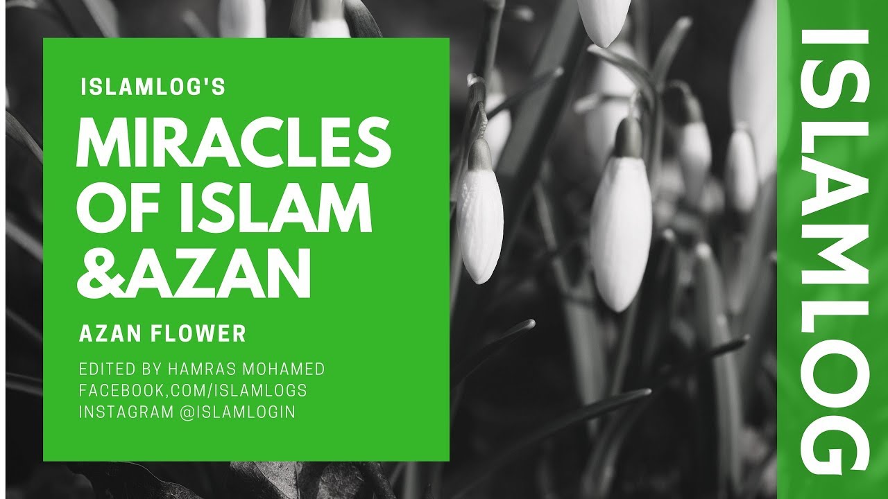 Azan flower : Miracles of ALLAH - YouTube