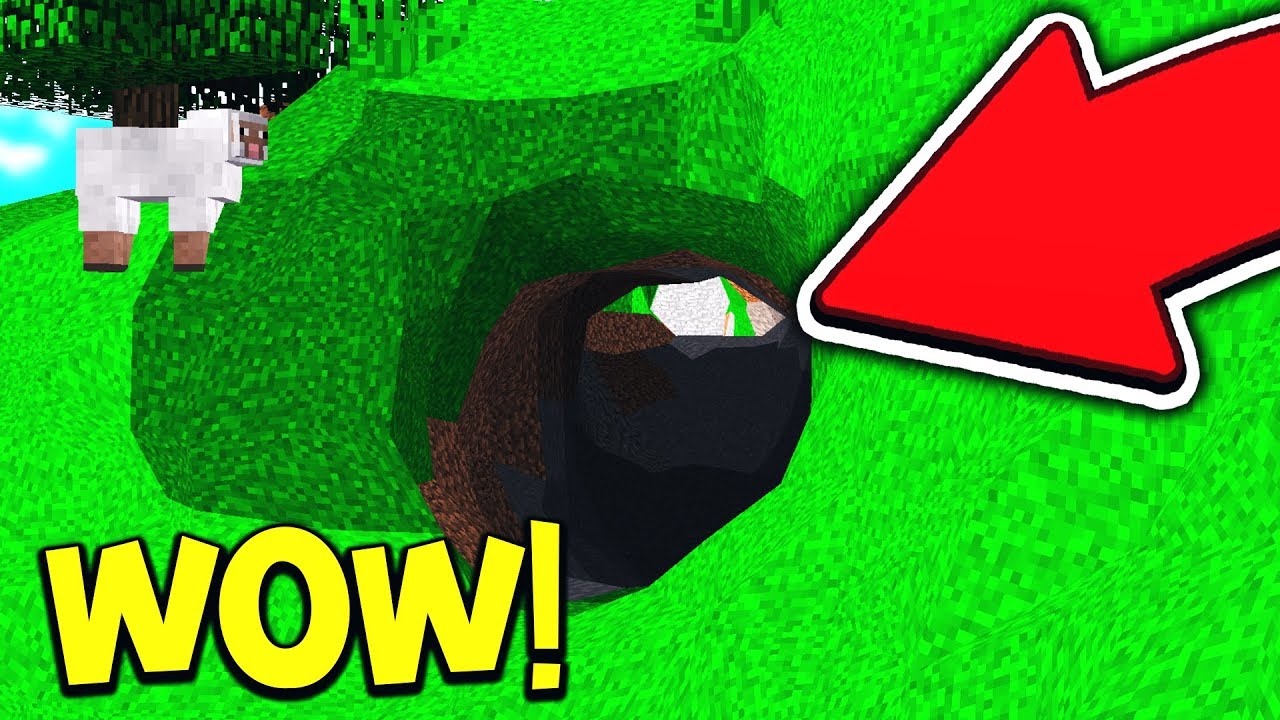 WHAT IF THERE WAS NO BLOCKS IN MINECRAFT!? 😱 - YouTube