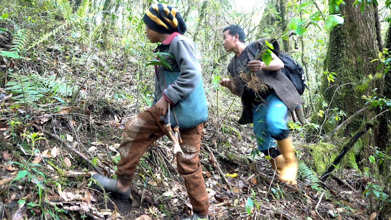 Life With Nature ( Video - 5 ) Hunting Jungle whole day || - YouTube