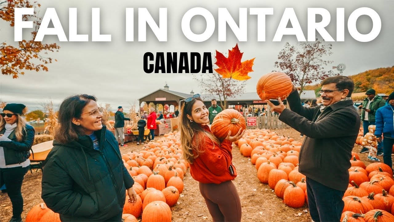 This Farm Was NOT What I Expected| FALL In ONTARIO CANADA 🍁 - YouTube