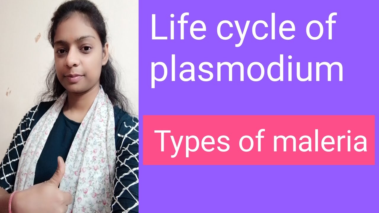Life cycle of plasmodium Part 5 ( types of maleria ) Class 12 Biology ...