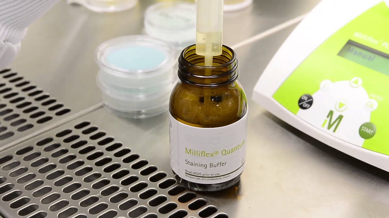 Milliflex® Quantum - Pharma - YouTube