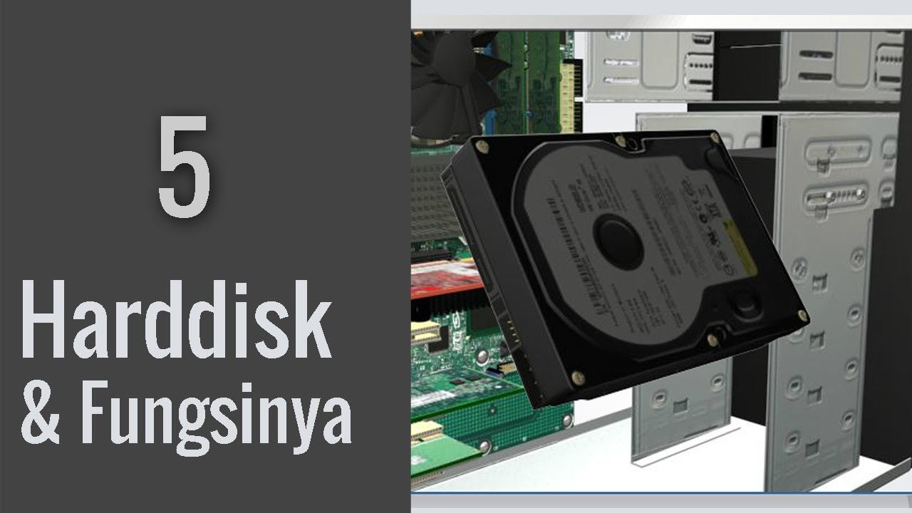 Belajar Komputer dari Nol: Mengenal Harddisk dan Fungsinya - YouTube