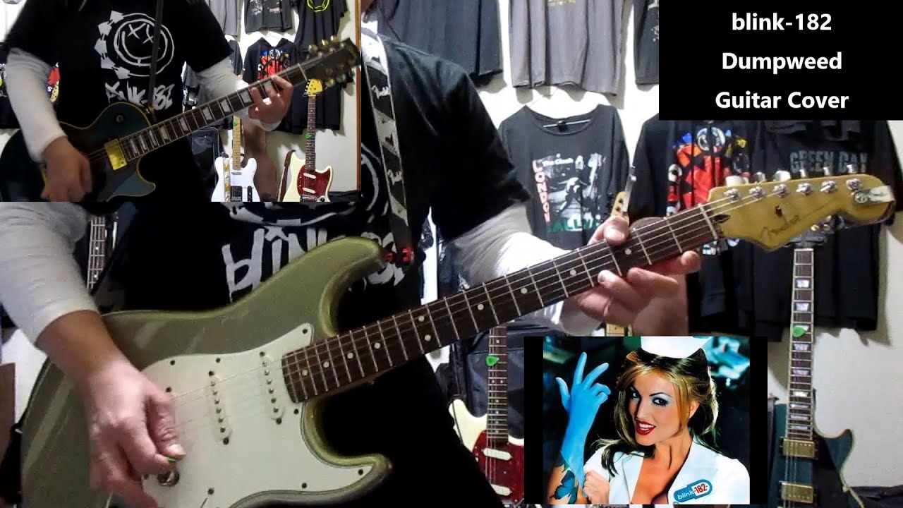 Dumpweed - blink-182 Guitar Cover - YouTube