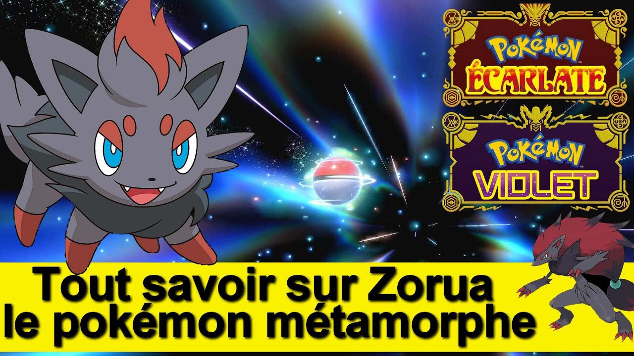 Zorua : comment le trouver, son évolution, sa version Shiny - Pokémon ...