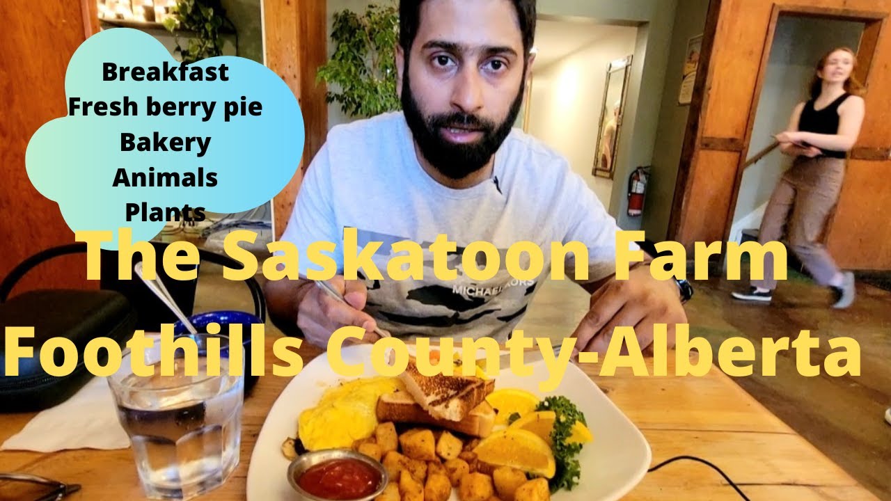 The Saskatoon Farm: Delicious breakfast, Bakery, U-pick berries & More ...