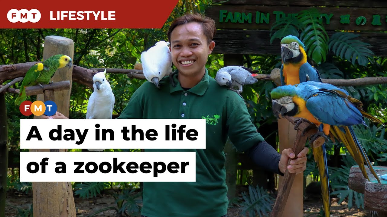 A behind-the-scenes look at the life of a zookeeper - YouTube