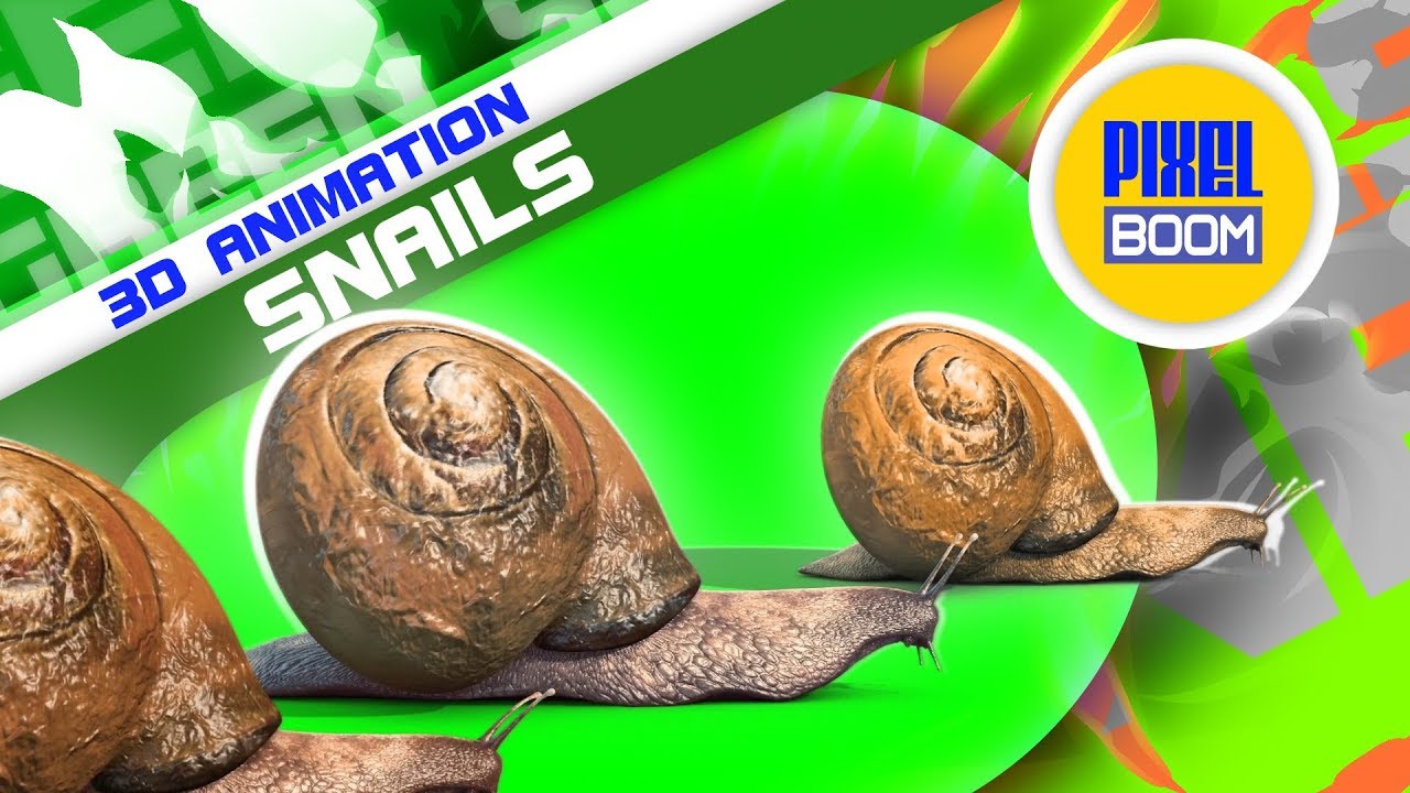 Green Screen Snail Animals - 3D Animations PixelBoom - YouTube