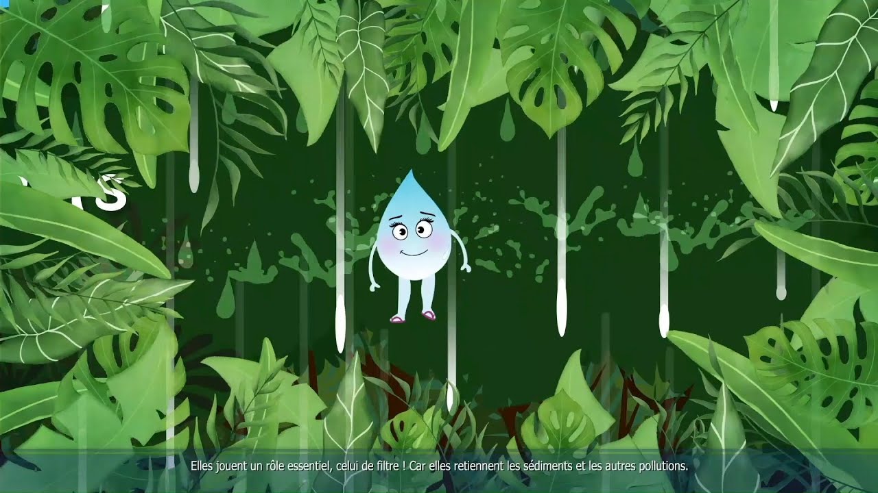 Le grand cycle d'Hingo, la petite goutte d'eau (PROTEGE) - YouTube