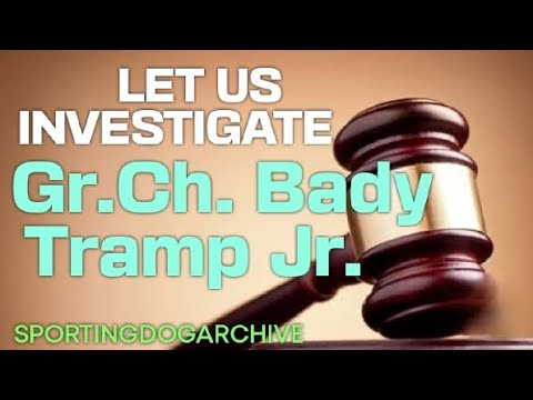 BDC EP:66 Case 2 "Let us investigate Gr.Ch.Bady Tramp Jr. #apbtfanciers ...