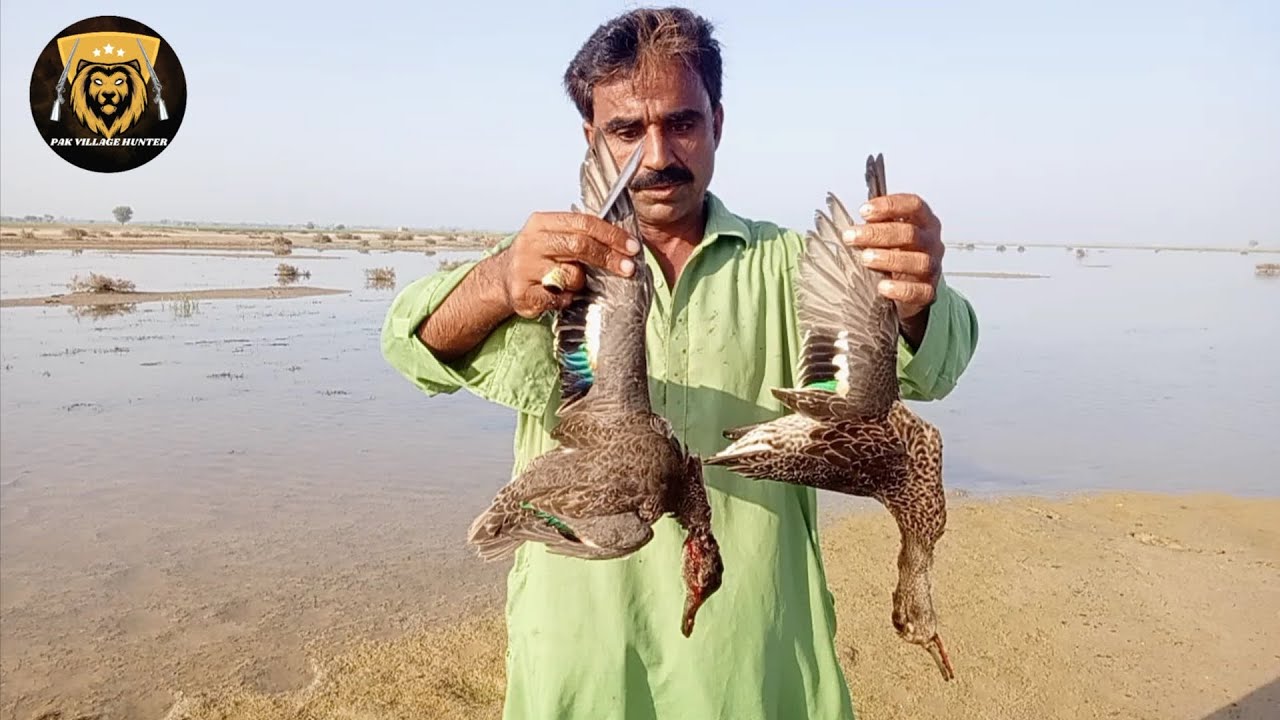 Duck Hunting with 12 Bore Gun/Hunting season 2022 / Hunting in Pakistan ...