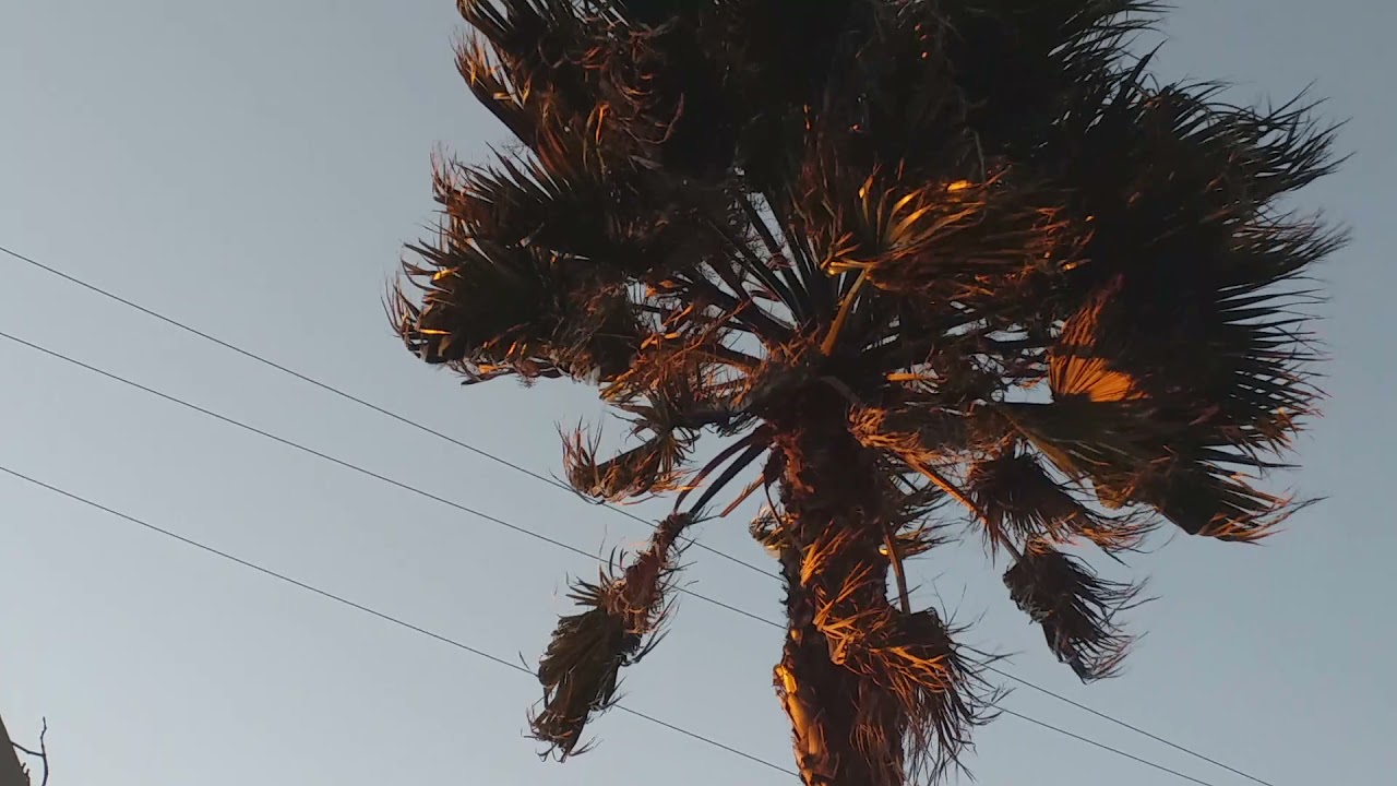 Strong Howling Wind Sound - YouTube