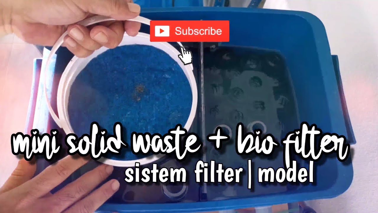DIY MINI SOLID WASTE + BIO FILTER | TUTORIAL SISTEM FILTER | compact ...