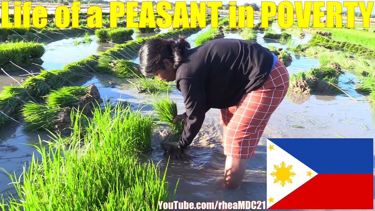 Giving Help to FILIPINOS: Giving Help to a Poor Filipina Farm Worker ...