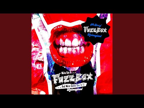 We've Got A Fuzzbox And We're Gonna Use It – We've Got A...Fuzzbox ...