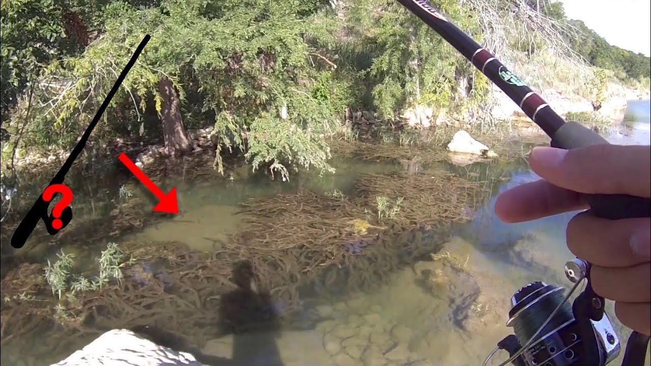 Random Fishing Rod Challenge! - YouTube