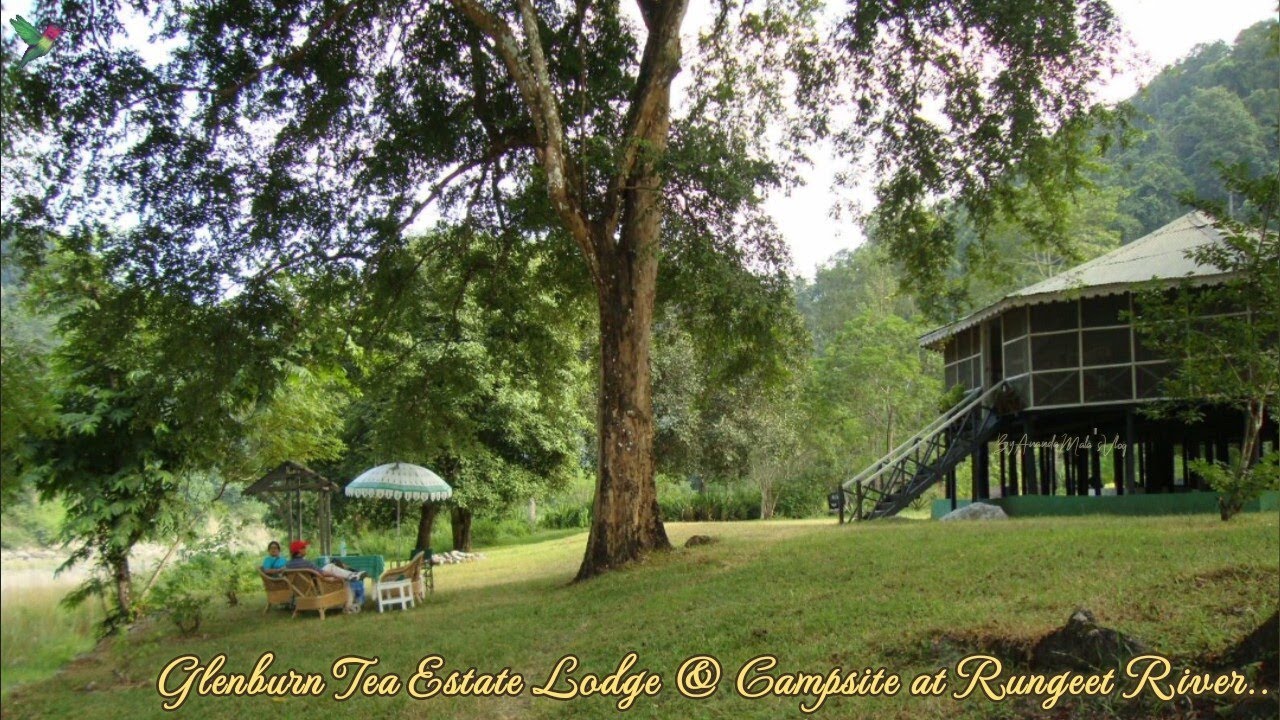 Glenburn Tea Estate Lodge & Campsite at Rungeet River View Point ...