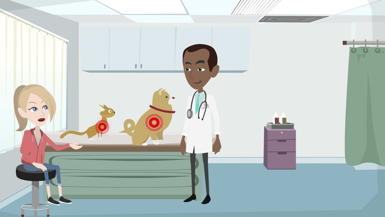 PREP Stem Cell Therapy for pets and understanding the process - YouTube