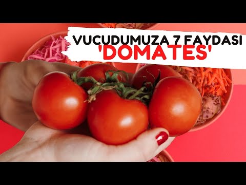 Bu Kadar Faydalı Olduğunu Biliyor Muydunuz? | Domatesin Faydaları Nelerdir?