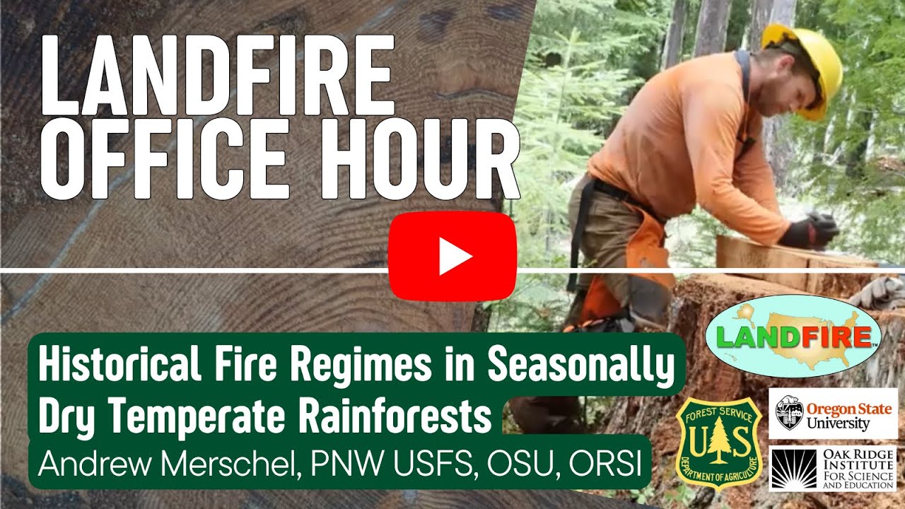 A new understanding of historical fire regimes in seasonally dry ...