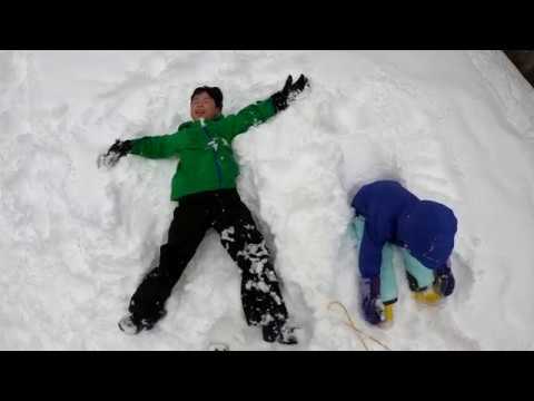 Seattle Snowmageddon 2019 - YouTube