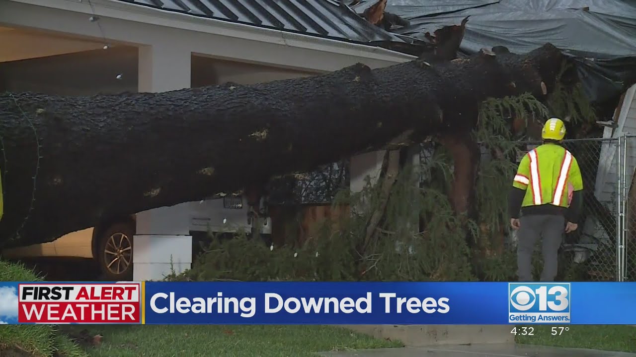 Tree clean-up continues in Sacramento - YouTube