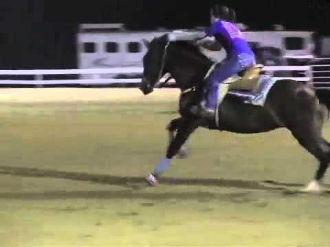 NBHA Barrel Racing Music Video @ WCSC - YouTube