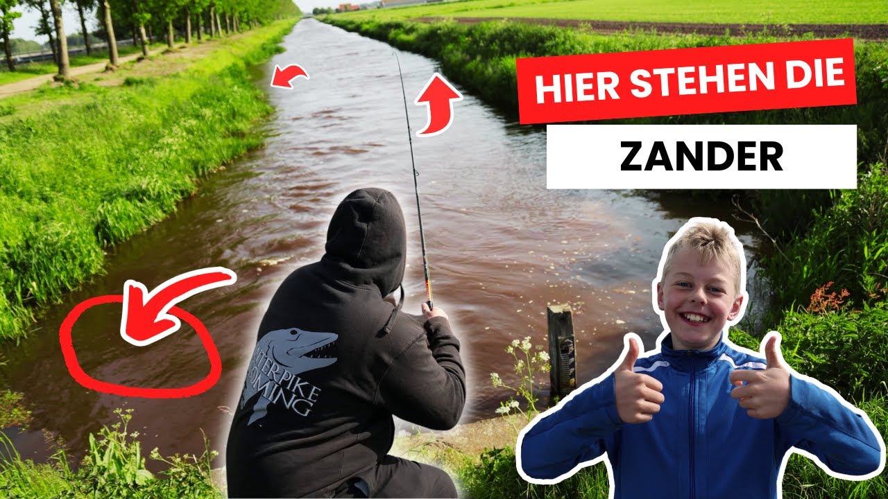 Hier stehen die Zander | Angel auf Zander mit Gummifisch - Tipps - YouTube