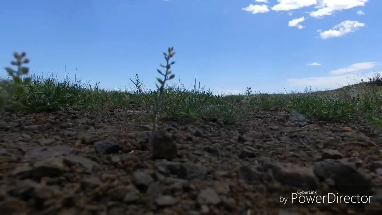 Beautiful Horizon shot - YouTube