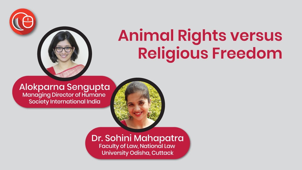 Animal Rights versus Religious Freedom - YouTube
