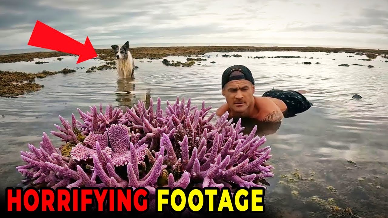 6 Most DISTURBING Fishing Encounters Caught on Camera - YouTube