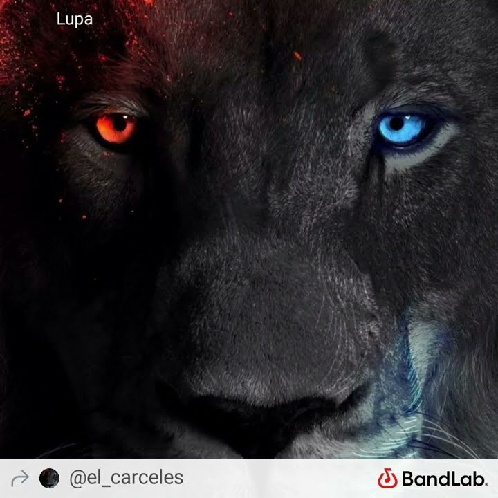 trailer los true players - YouTube