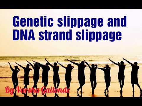 Genetic slippage and DNA slippage - YouTube