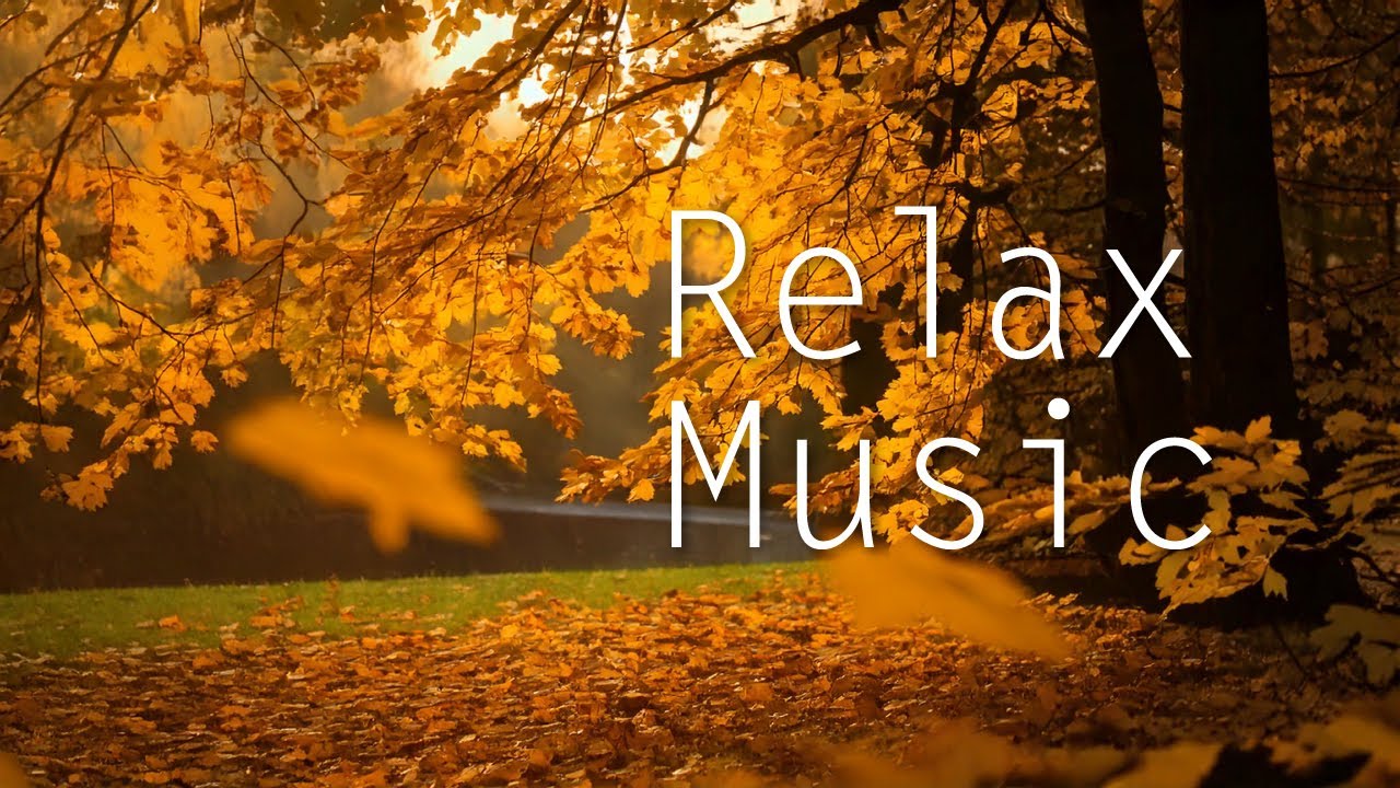 Serenity Now: Relax with Peaceful Music | 今こそ静けさを。穏やかな音楽|sleep ...