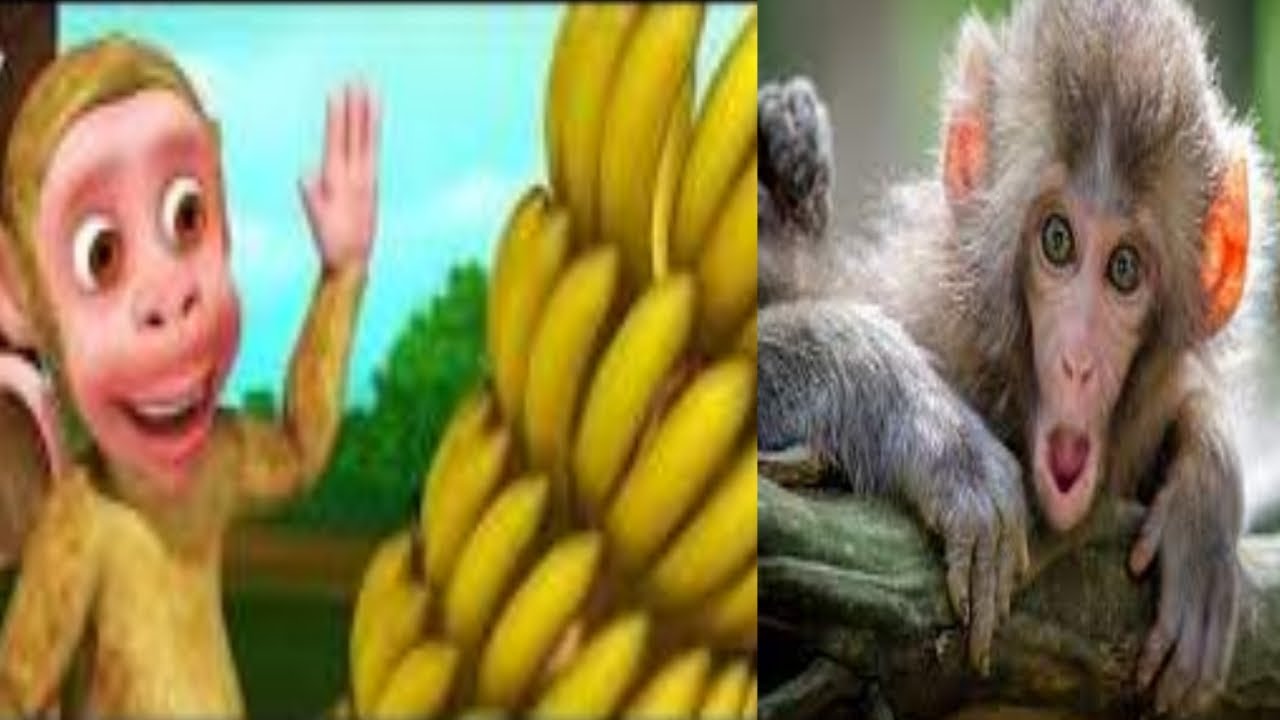 Kamilhasan.katun video banor mama video - YouTube