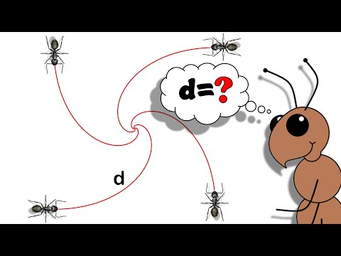 The Four Ants Problem - YouTube