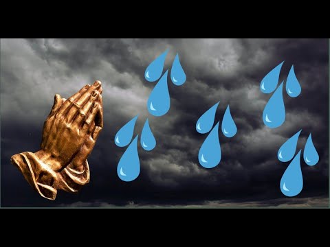 PLEASE rain - F1 2023 My team #10 Austria - - YouTube