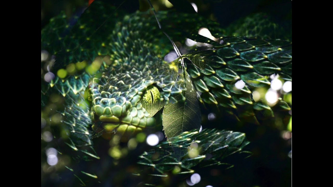 {SOLD} T$N Beats- Western Draw (Roddy Ricch Type Beat) - YouTube Music