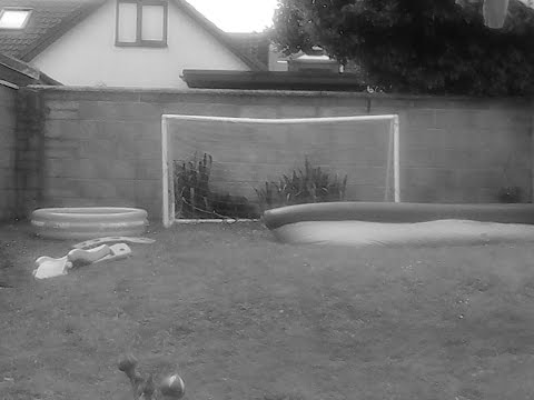 A new swimming pool, and lots of farts